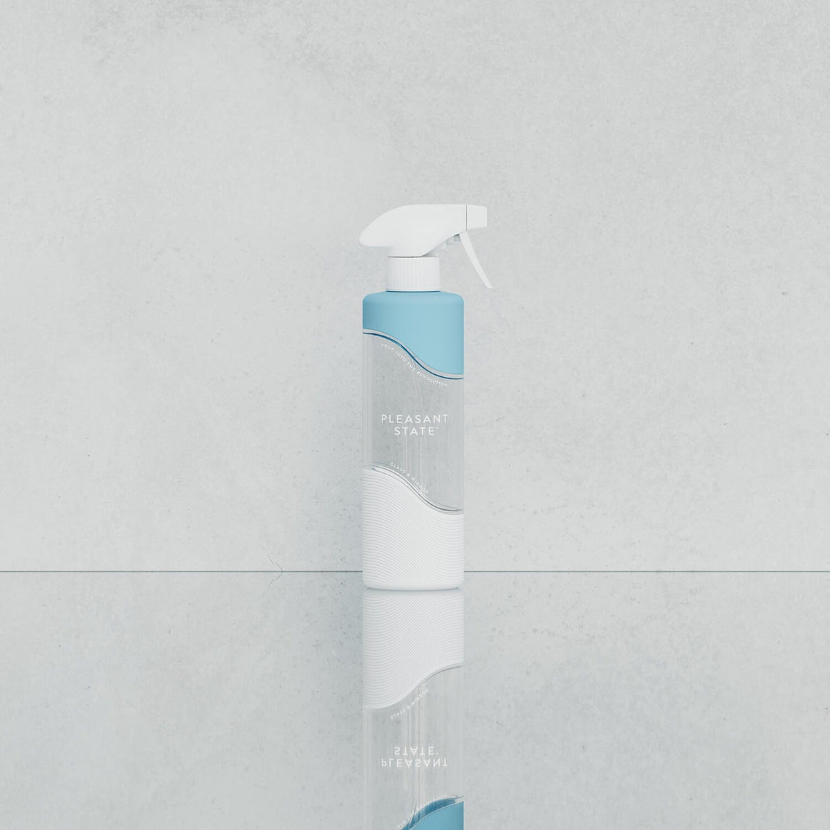 Pleasant State Glass and Window Glass Cleaner Spray Bottle